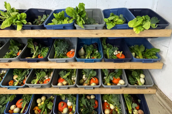 Our 2026 CSA box is now open for registration! | Farmship Growers ...